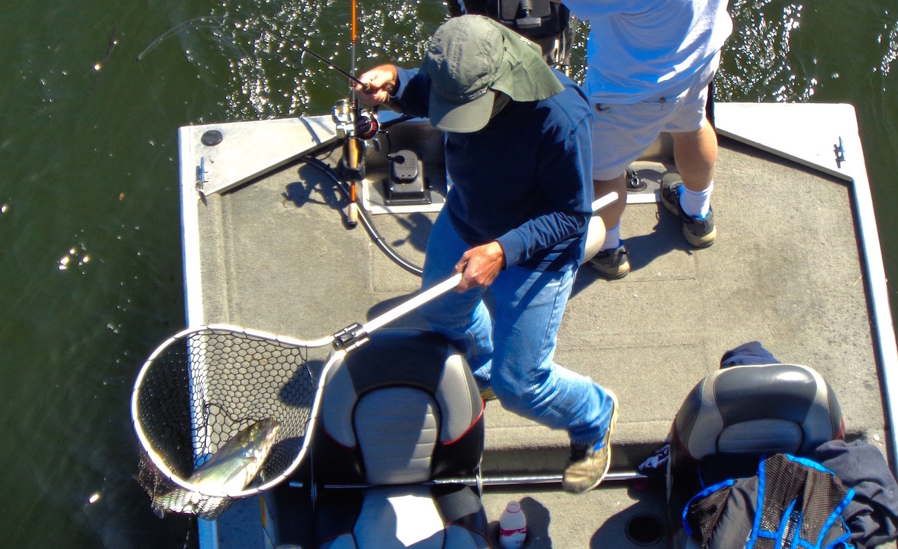 A Quick Guide to Lambertville Shad Festival 2018 - New Hope Free Press