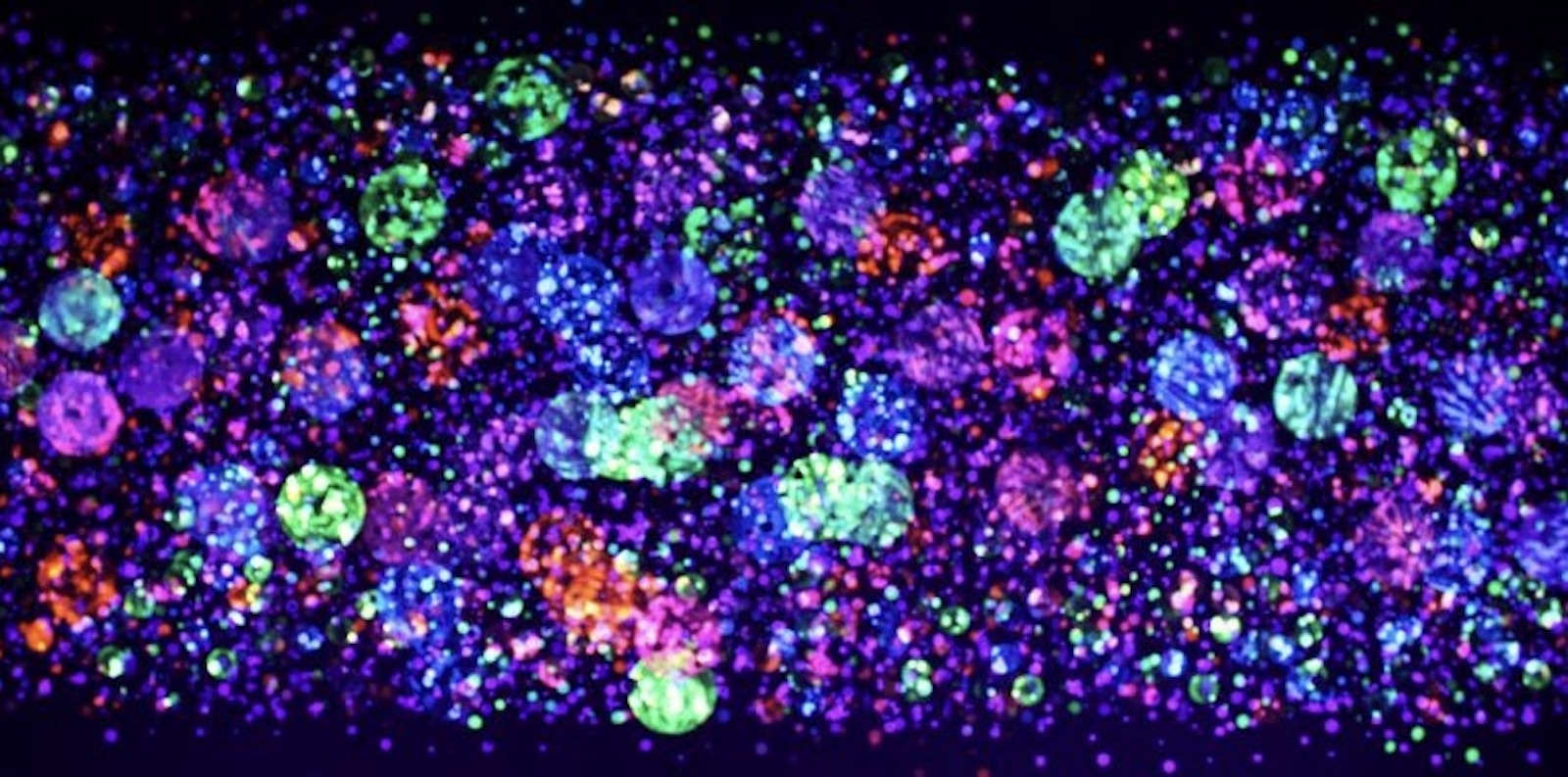 'Illusions of Light' now on view at New Hope Arts - New Hope Free Press