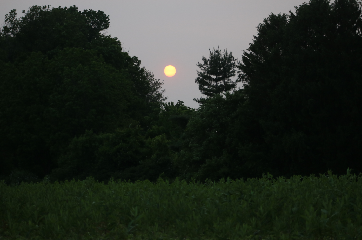 WEATHER FOR THE WEEK: Haze, Showers & Sun In The Forecast - New Hope ...