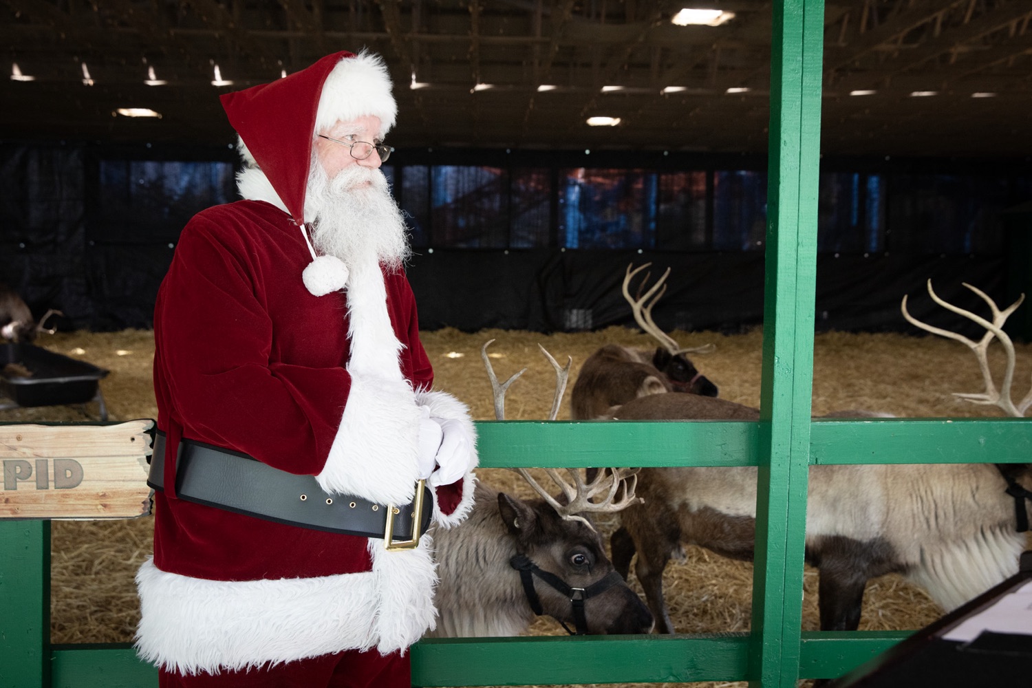 Official Clear Santa's Reindeer To Visit PA This Christmas Eve - New ...