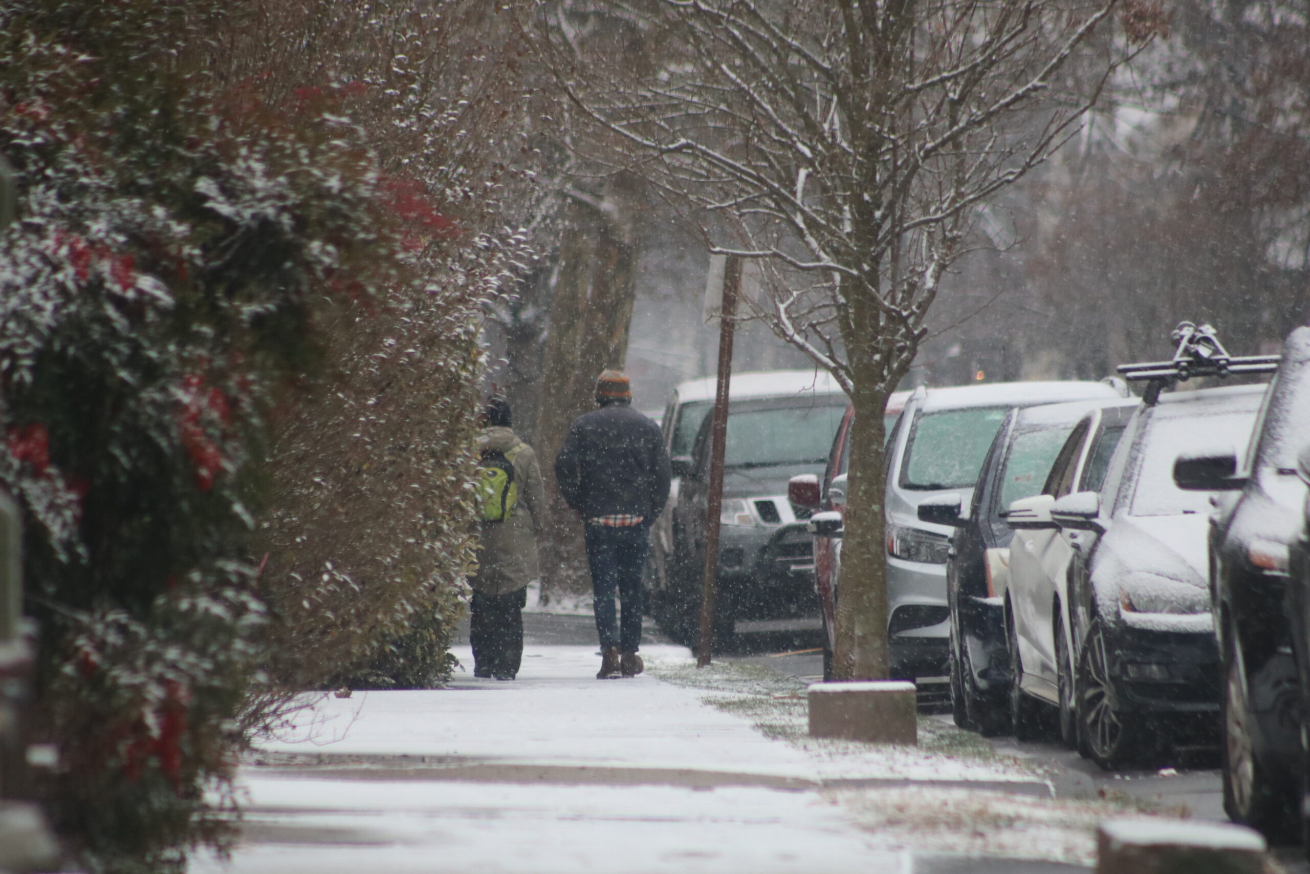 New Hope-Lambertville Forecasted To Get Light Snow - New Hope Free Press