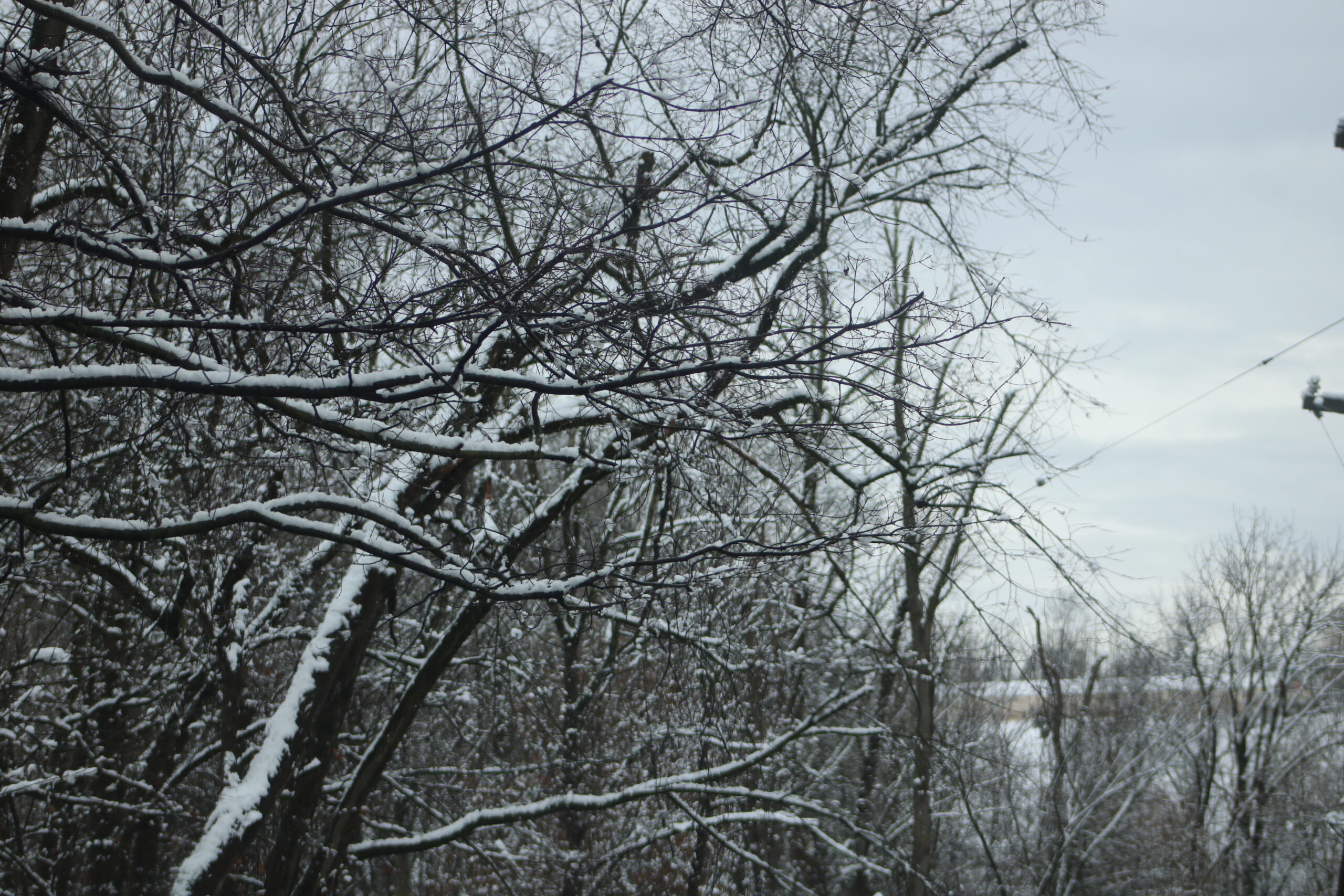 See Snow Totals For New Hope Area - New Hope Free Press