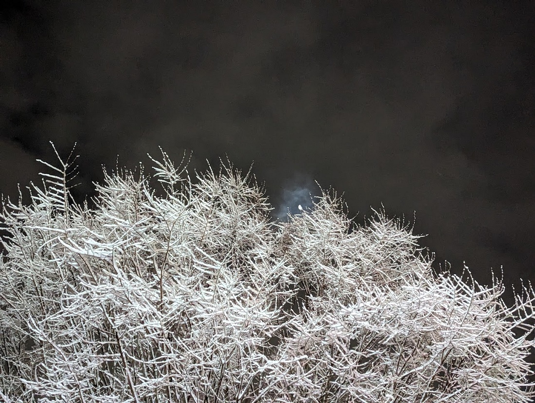 See Snow Totals For The Area - New Hope Free Press