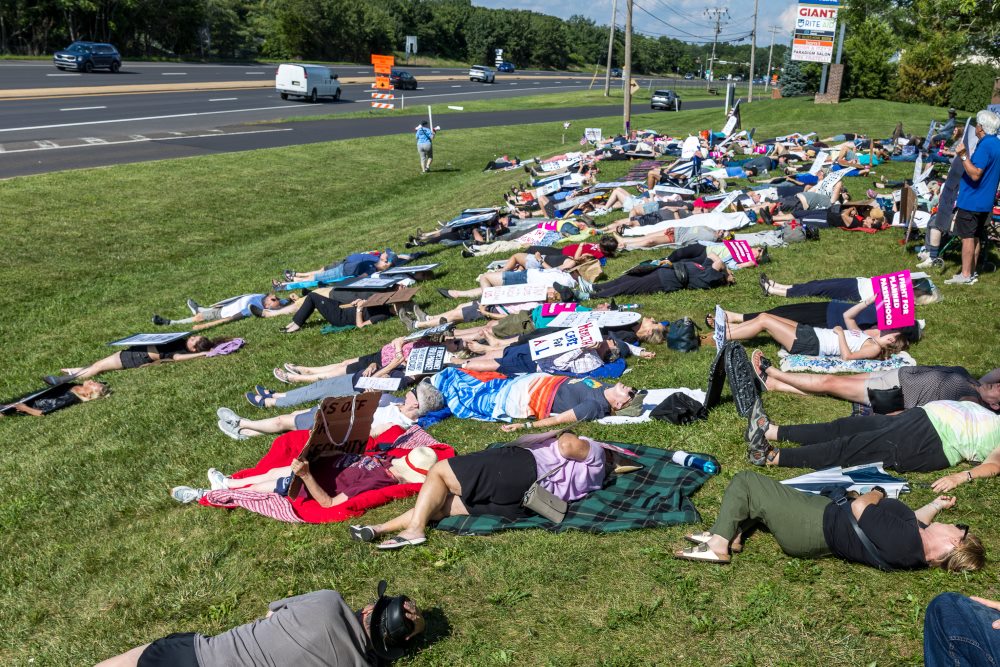 Hundreds 'Die-In' At Rep. Fitzpatrick's Office To Protest Cuts - New ...